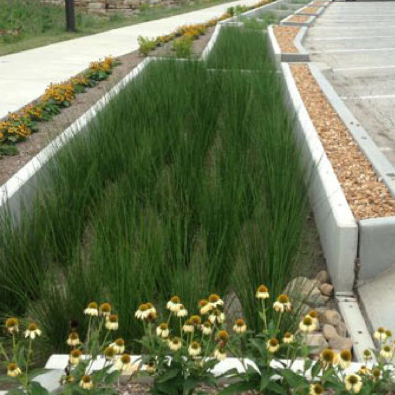 Regnbäddar & biofilter - Stångby Akademi